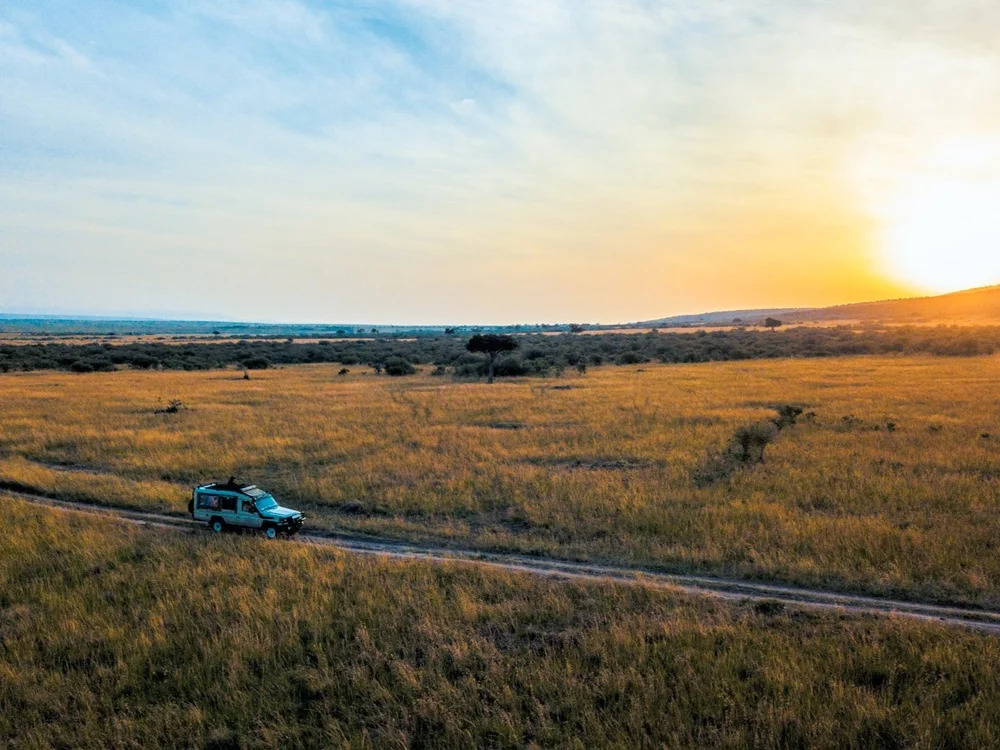 Understanding Kenya Safari Packages: Destinations, Lodges & Activities